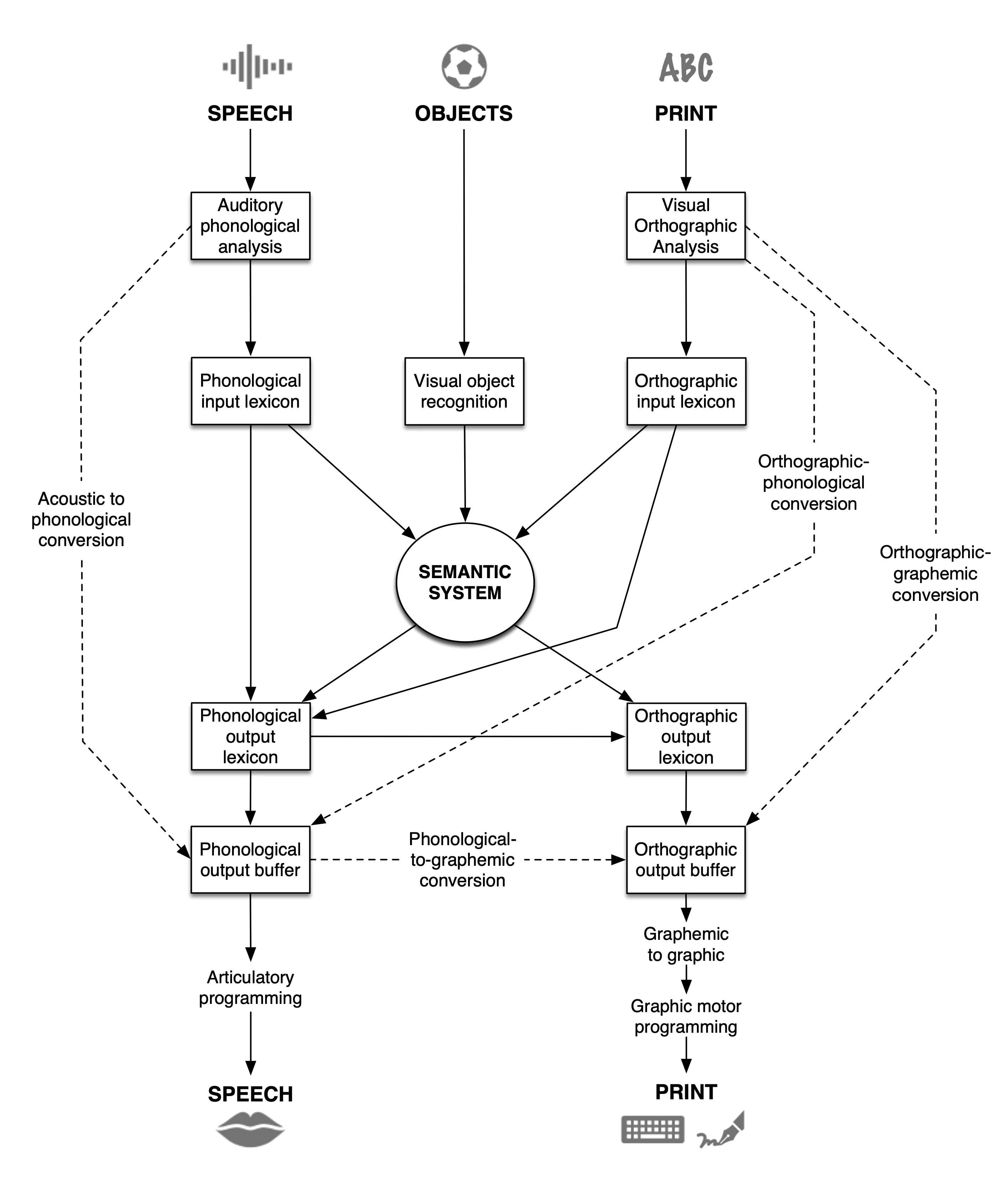 Step-by-step video explanations of aphasia and the psycholinguistic model